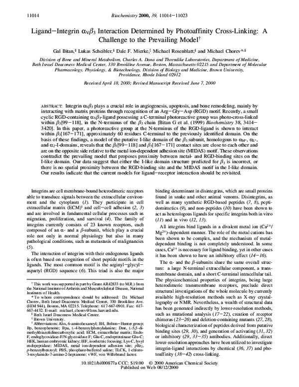 (PDF) Ligand−Integrin α V β 3 Interaction Determined by Photoaffinity ...