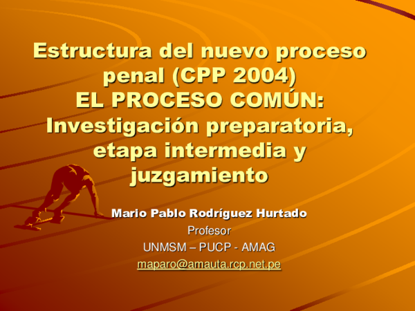 (PDF) Estructura del nuevo proceso penal (CPP 2004) EL PROCESO COMÚN: Investigación preparatoria ...