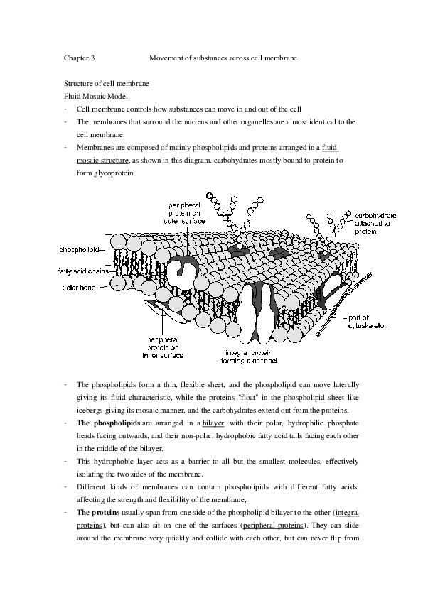 Chapter 3 Movement Of Substances Across Plasma Membrane Essay On