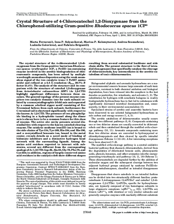 (PDF) Crystal Structure of 4-Chlorocatechol 1,2-Dioxygenase from the ...