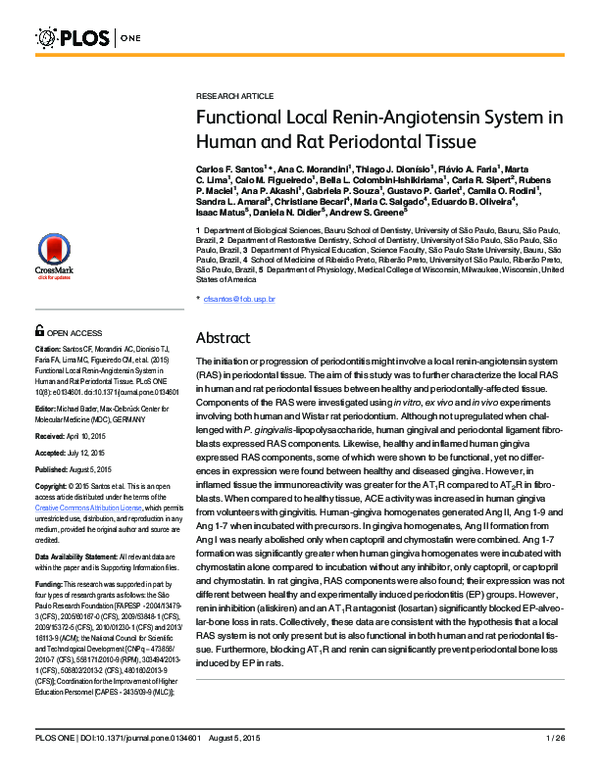 (PDF) Functional Local Renin-Angiotensin System in Human and Rat ...