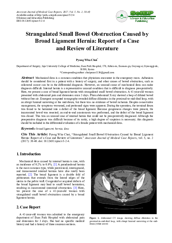(PDF) Strangulated Small Bowel Obstruction Caused by Broad Ligament ...