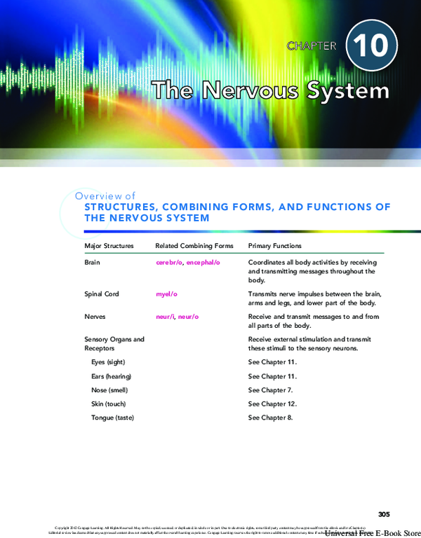 (PDF) The Nervous System