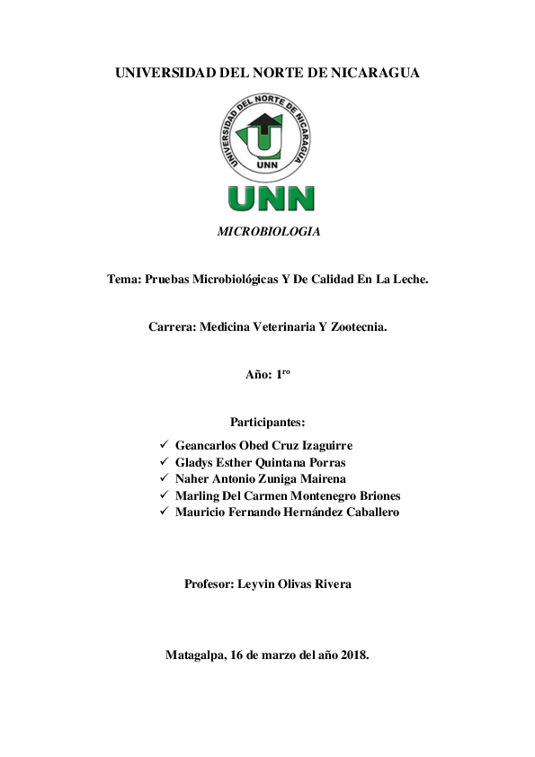 (DOC) UNIVERSIDAD DEL NORTE DE NICARAGUA Participantes