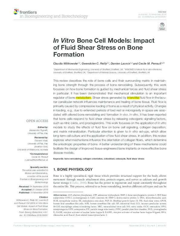 (PDF) In Vitro Bone Cell Models: impact of Fluid Shear Stress on Bone ...