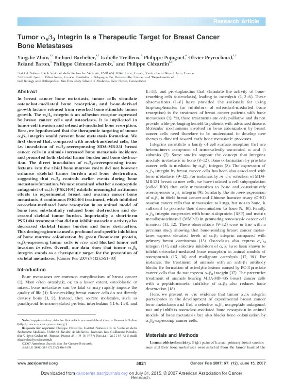 (PDF) Tumor AvB3 Integrin Is a Therapeutic Target for Breast Cancer ...