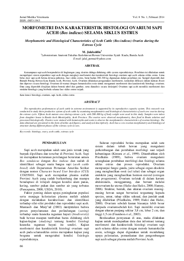 (PDF) MORFOMETRI DAN KARAKTERISTIK HISTOLOGI OVARIUM SAPI ACEH (Bos ...