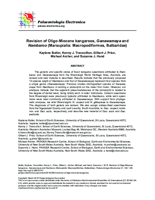 (PDF) Revision of Oligo-Miocene kangaroos, Ganawamaya and Nambaroo ...