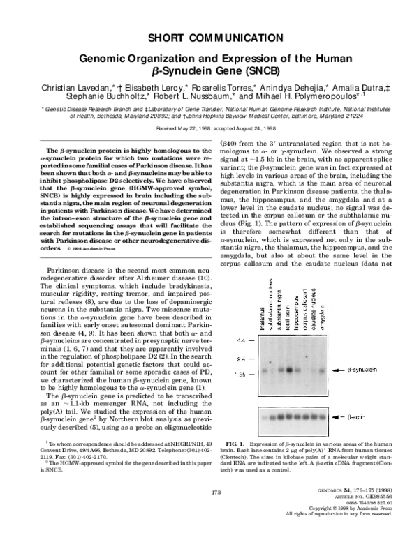 (PDF) SHORT COMMUNICATION Genomic Organization and Expression of the ...