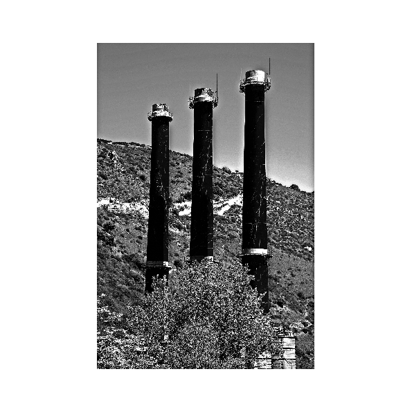 (PDF) Come una balena | Fabio Bacchini - Academia.edu