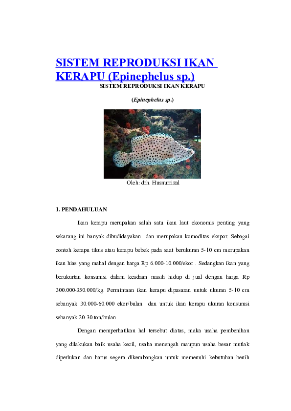 (DOC) SISTEM REPRODUKSI IKAN KERAPU (Epinephelus sp