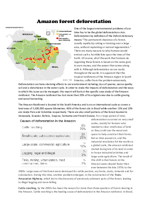 (DOC) Amazon forest deforestation