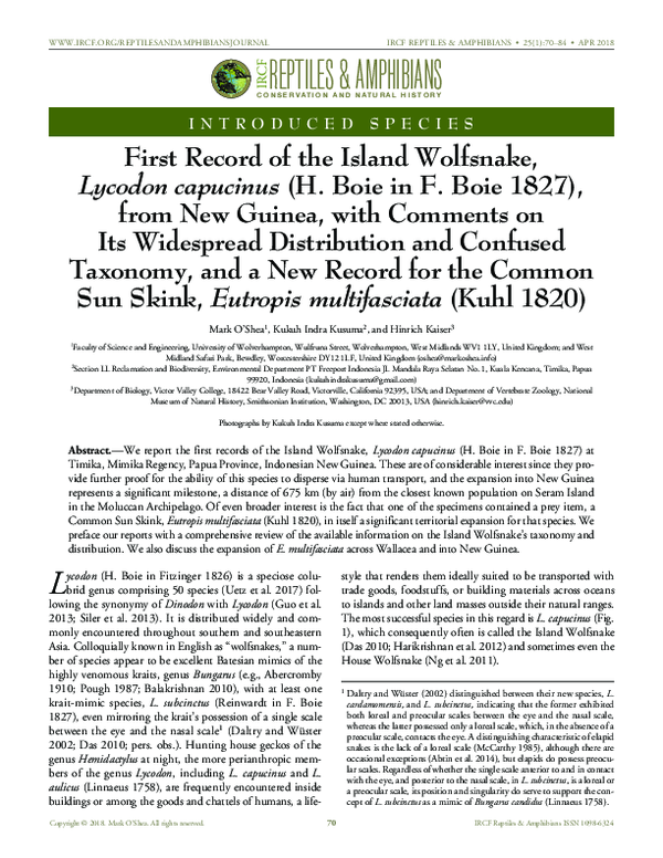 (PDF) First Record of the Island Wolfsnake, Lycodon capucinus (H. Boie ...