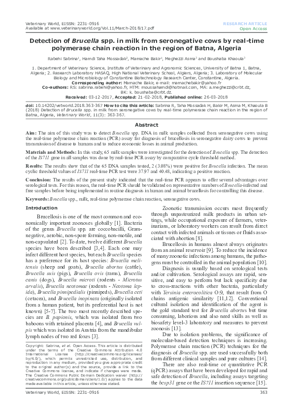 Pdf Detection Of Brucella Spp In Milk From Seronegative Cows By Real Time Polymerase Chain