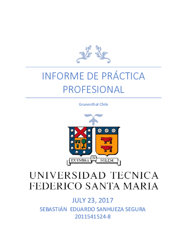 (DOC) Informe práctica profesional final