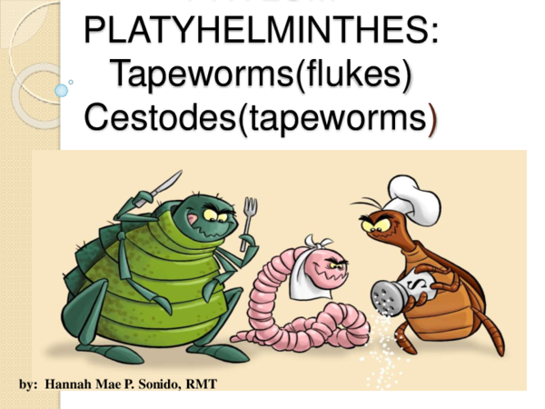 (PDF) PLATYHELMINTHES: Tapeworms(flukes) Cestodes(tapeworms
