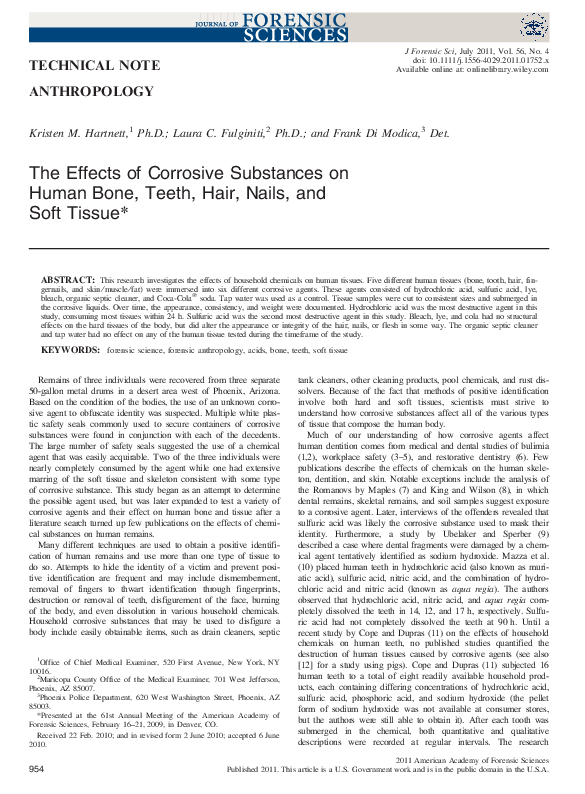 (PDF) The Effects of Corrosive Substances on Human Bone, Teeth, Hair ...