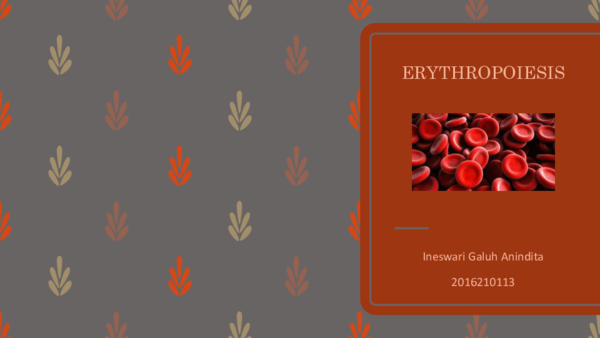 (PPT) Eritropoiesis