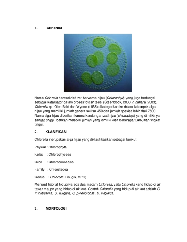 (DOC) BIOLOGI Chlorella sp