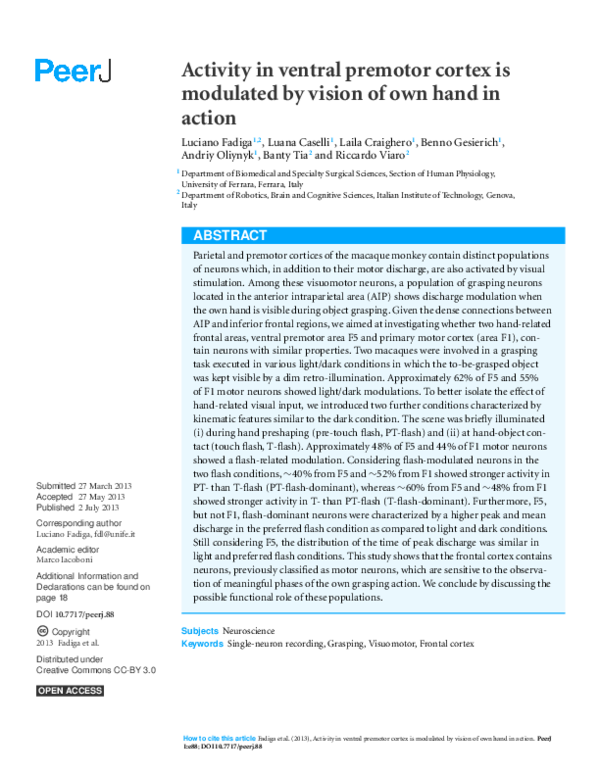(PDF) Activity in ventral premotor cortex is modulated by vision of own hand in action