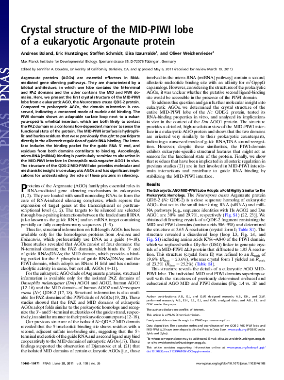 (PDF) Crystal structure of the MID-PIWI lobe of a eukaryotic Argonaute ...