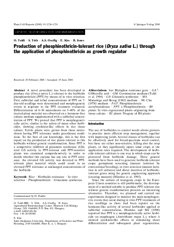 (PDF) Toldi et al Plant Cell Rep