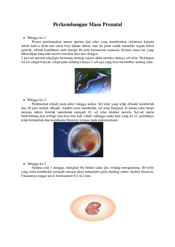 (DOC) Perkembanagn masa prenatal