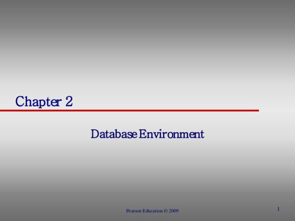 (PDF) Chapter 2 Database Environment