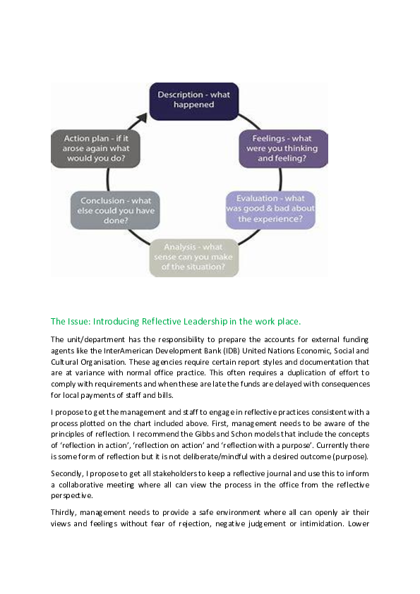 (DOC) Reflective Implementation Plan
