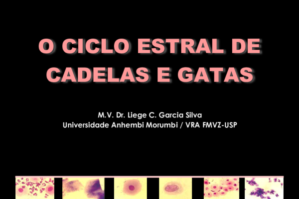 (PDF) O CICLO ESTRAL DE CADELAS E GATAS