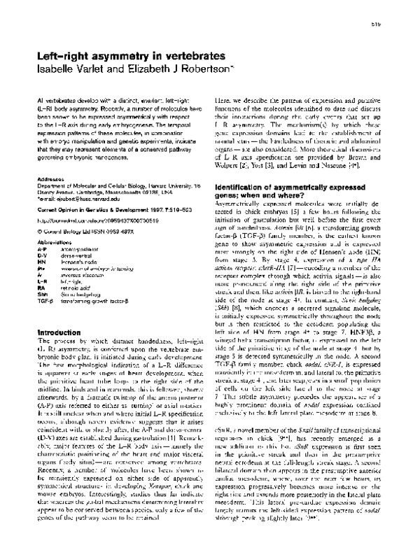 (PDF) Left—right asymmetry in vertebrates