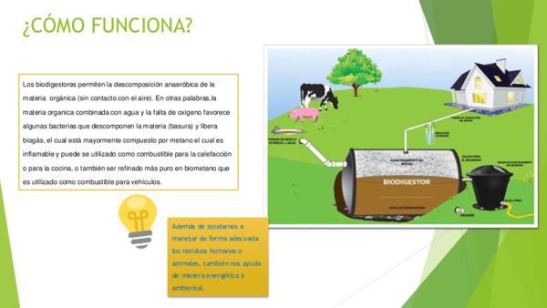 (PPT) BIOGENERADOR