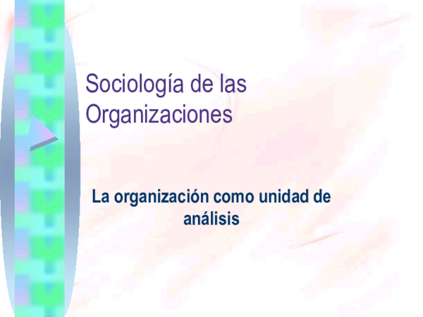 (PPT) Renate Mayntz Sociología de las organizaciones