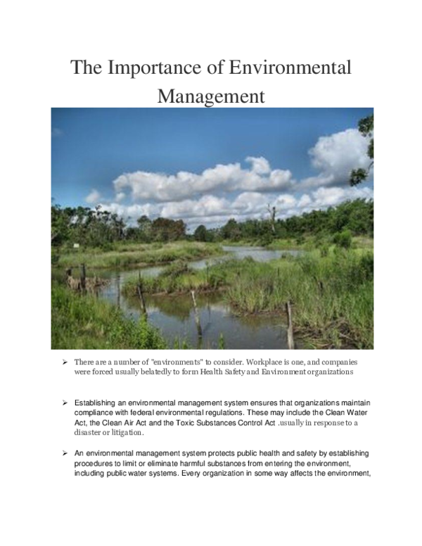 (DOC) The Importance of Environmental Management | axmed khaliif ...