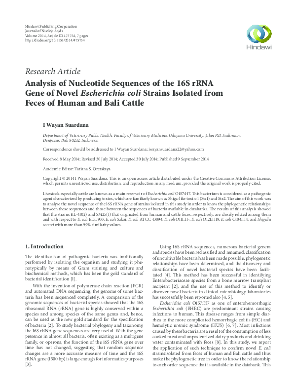 (PDF) Analysis of Nucleotide Sequences of the 16S rRNA Gene of Novel Escherichia coli Strains ...