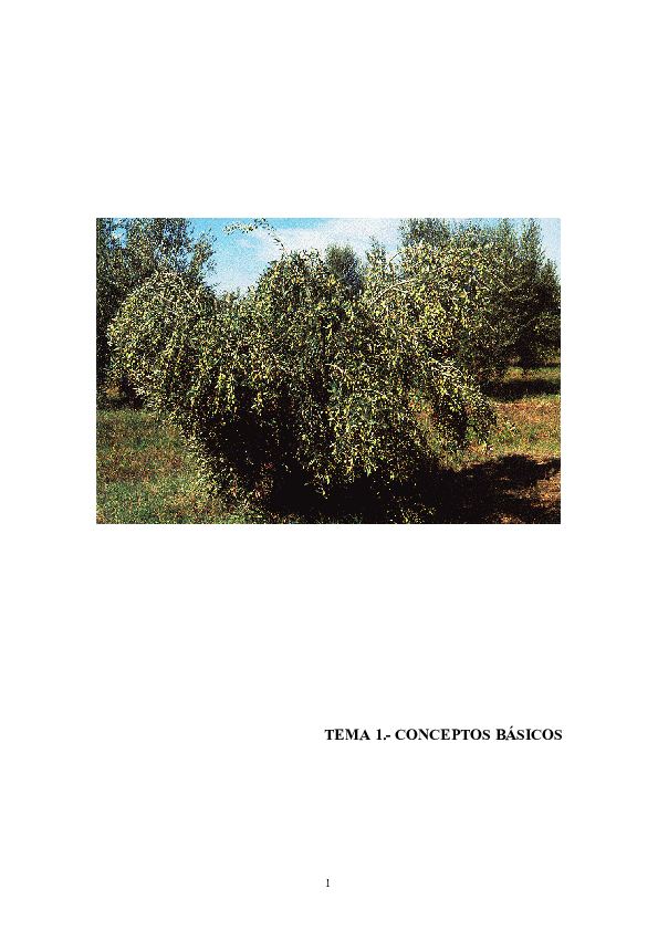 (PDF) TEMA 1.-CONCEPTOS BÁSICOS