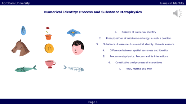 Numerical Identity: Process and Substance Metaphysics (PPT)