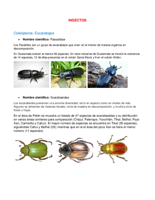 (DOC) Insectos Endemicos de Guatemala