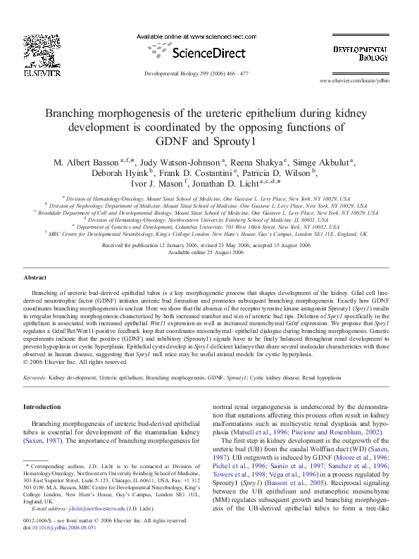 (PDF) FGF/EGF signaling regulates the renewal of early nephron ...