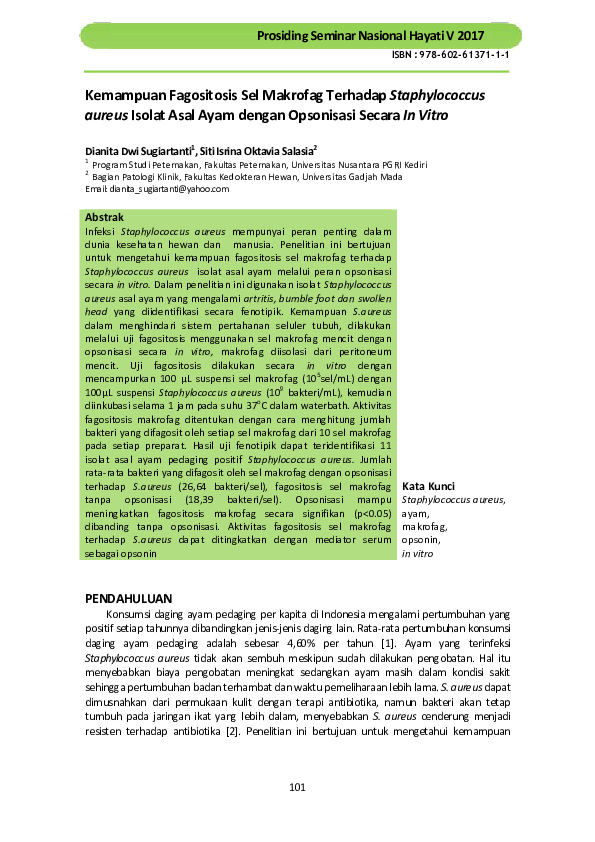 (PDF) Kemampuan Fagositosis Sel Makrofag Terhadap Staphylococcus aureus ...