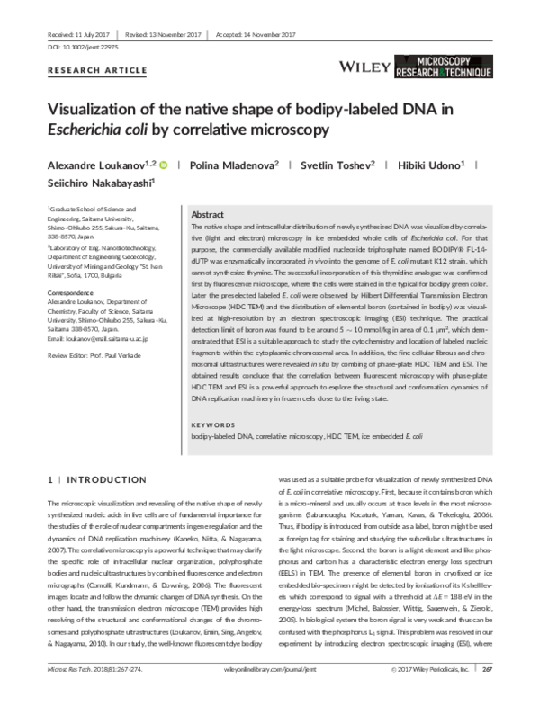 (PDF) Visualization of the native shape of bodipy-labeled DNA in ...