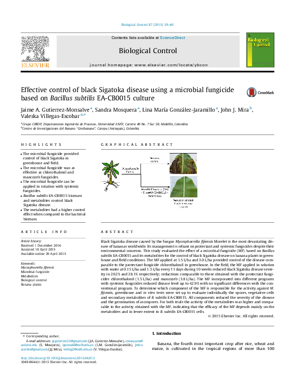 (PDF) Effective control of black Sigatoka disease using a microbial ...