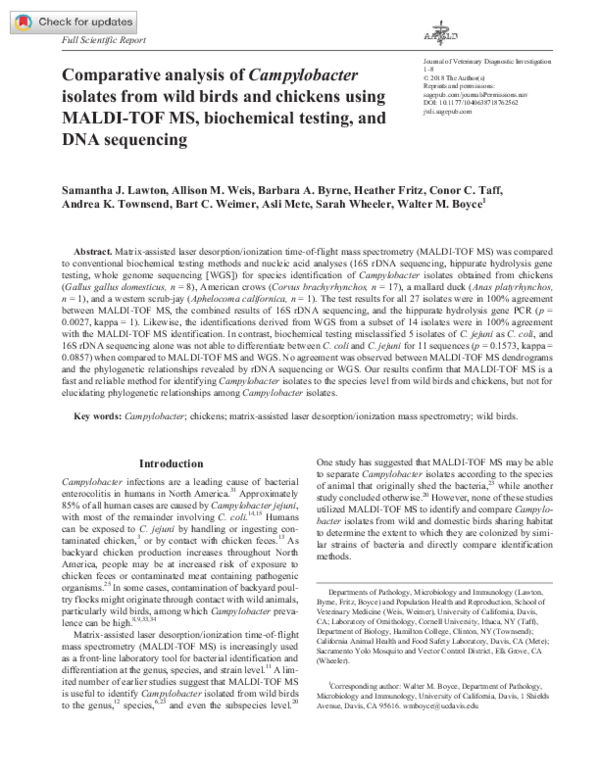 Pdf Molecular Epidemiology And Characterization Of Campylobacter Spp