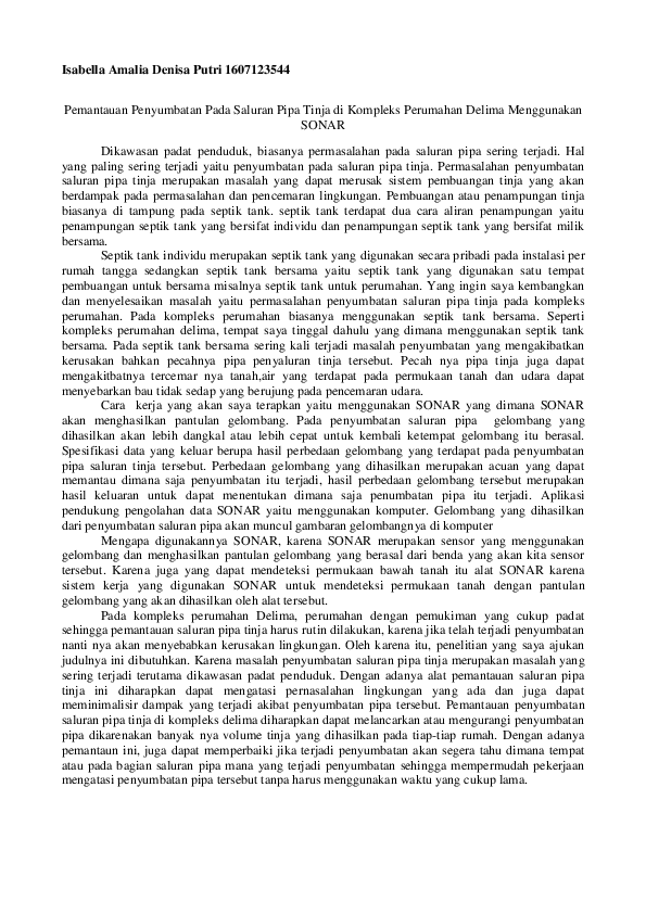 (DOC) Isabella Amalia Denisa Putri 1607123544 | Isabella Amalia Denisa ...