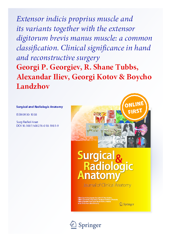 (PDF) Extensor indicis proprius muscle and its variants together with ...