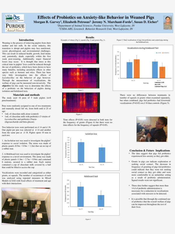 (PPT) PWS Poster- Morgan Garvey