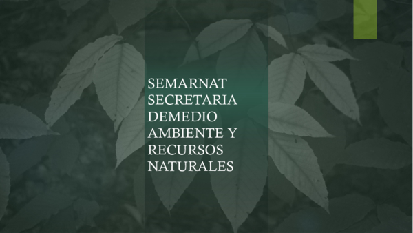 (PDF) SEMARNAT SECRETARIA DEMEDIO AMBIENTE Y RECURSOS NATURALES