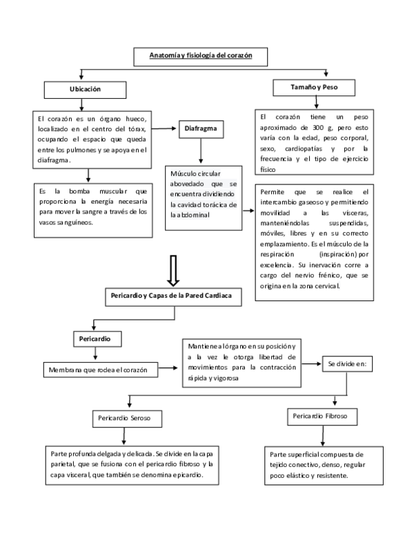 (DOC) Pericardio y Capas de la Pared Cardiaca