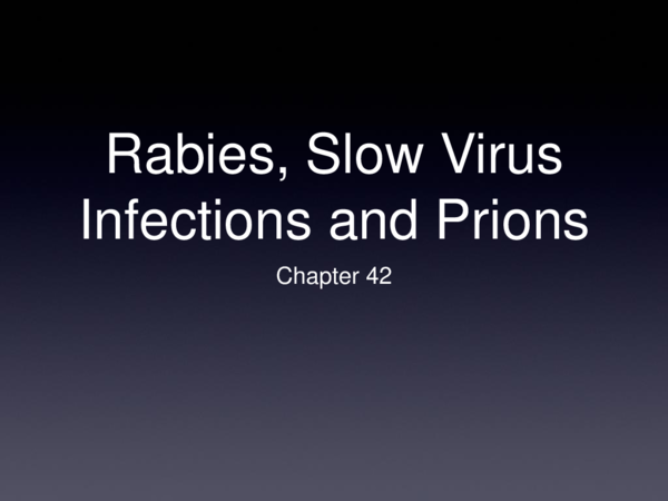(PPT) Chapter 42 Rabies | Ashi Lawrence - Academia.edu