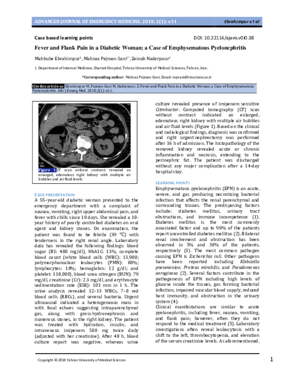 (PDF) Fever and Flank Pain in a Diabetic Woman; a Case of Emphysematous ...